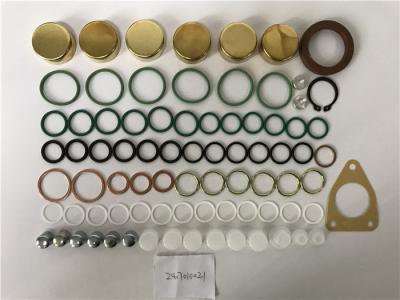 China 2417010021 Diesel Fuel Pump Repair Kits 800718 Diesel Engine Parts for sale