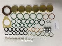China 2417010021 Diesel Fuel Pump Repair Kits 800718 Diesel Engine Parts for sale