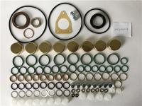 China Diesel Fuel Pump Injector Gasket Kit Sealing Ring 800717 Repair Kits 2417010022 for sale
