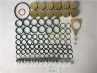 China Common Rail Repair Kits Fuel Injection Pump Spare Parts 2417010023 for sale