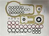 China CE Common Rail Spare Parts Diesel Repair Kit Fuel Injector Pump PB(A) for sale