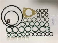 China Diesel Fuel Pump Repair Sealing Kit PW2000(B) Common Rail Spare for sale