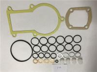 China Common Rail Repair Kit Diesel Fuel Injection Pump Gasket Kit PM for sale