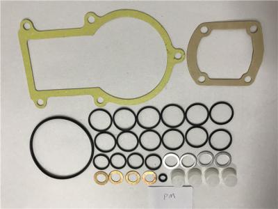 China Common Rail Repair Kit Diesel Fuel Injection Pump Gasket Kit PM for sale