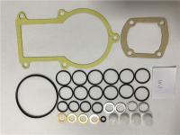 China Common Rail Repair Kit Diesel Fuel Injection Pump Gasket Kit PM for sale