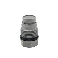 China Common Rail Fuel Injection Pressure Limit Valve 1110010019 For Diesel Engine for sale