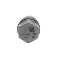 China Common Rail Fuel Injection Pressure Limit Valve 1110010019 For Diesel Engine for sale