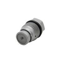 China Common Rail Fuel Injection Pressure Limit Valve 1110010019 For Diesel Engine for sale