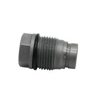 China Diesel Engine Pressure Limit Valve High Pressure Common Rail Relief Fuel Rail 1110010025 for sale