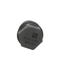 China Diesel Engine Pressure Limit Valve High Pressure Common Rail Relief Fuel Rail 1110010025 for sale