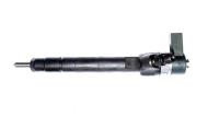 China Standard Size 0 445 110 055 Bosch Fuel Injection Common Rail Injector 0445110055 for sale
