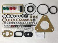 China Common Rail 7135-110 Fuel Injection Pump Repair Kit for sale