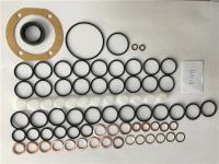 China Diesel Car 801671 Fuel Injection Pump Repair Kit 190440-0390 for sale