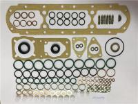 China OEM ODM 2417010004 Diesel Injection Pump Rebuild Kit for sale
