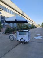 China Snack Food Ice Cream Push Cart Tricycle Customized Cooking Equipment with Wheels for sale