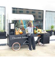 China Street Food Delivery Bike with Display Freezer and Customized Snack Truck for sale