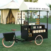 China Street Food Delivery Bike with Display Freezer and Customized Snack Truck for sale
