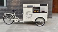 China Street Food Delivery Bike with Display Freezer and Customized Snack Truck for sale