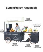China Electric Tricycle Food Truck with Customized Voltage and Heavy-Gauge Galvanized Steel for sale