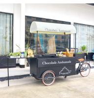China 200kg Capacity Customized Color Fast Food Cart Bike Electric Food Ice Cream Truck for sale