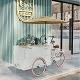 China 200kg Capacity Customized Color Fast Food Cart Bike Electric Food Ice Cream Truck for sale