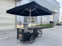 China Electric Solar Panel Food Tricycle for Easy and Convenient Operation 277*210*70cm for sale