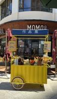 China Long Service Life Tricycles Bike Container Food Truck Kiosk Bat Street Food Tricycle Hot Food Van for sale