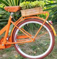 China Australia Scooter Food Cart Tricycle with Soybean Material and Compact Size for sale