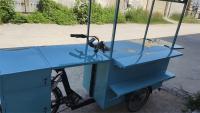 China Fast Food Delivery Mobile Tricycle Cart with Solar Panel Eco-Friendly and Convenient for sale