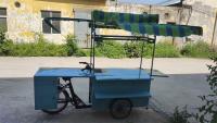 China Customized Voltage Tricycles Bike Container Food Truck with 0-10000 Voltage for sale