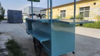 China Customized Voltage Tricycles Bike Container Food Truck with 0-10000 Voltage for sale