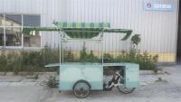 China Europe Standard Food Tricycle Bike Tricycle Mobile Food Cart for High Productivity for sale