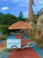 China 3 Wheels Ice Cream Bike Tricycle Mobile Food Cart with Any Color Variation Selection for sale