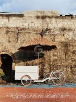 China 3 Wheels Ice Cream Bike Tricycle Mobile Food Cart with Any Color Variation Selection for sale