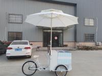 China 214*83*240cm Commercial Coffee Bike for Hot Drinks and Tea Stainless Steel Tricycle for sale