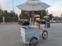 China 214*83*240cm Commercial Coffee Bike for Hot Drinks and Tea Stainless Steel Tricycle for sale