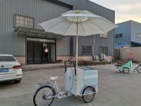 China 220V/380V Voltage Bike Trailer Cart for Selling Ice Cream and Fresh Fruit for sale
