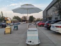 China 220V/380V Voltage Bike Trailer Cart for Selling Ice Cream and Fresh Fruit for sale