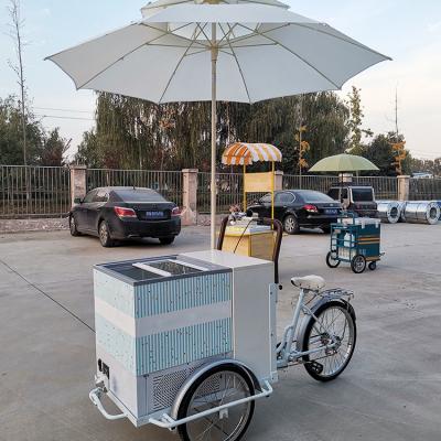 China 220V/380V Multifunctional Outdoor Ice Cream Bike Cart Hot Dog Food Bike 80kg Capacity for sale