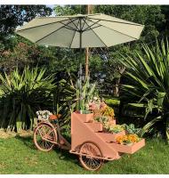 China Compact Design Bike Food Cart for Mobile Outdoor Coffee Desserts Gelato and Ice Cream for sale