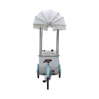 China Ice Cream Bike Freezer Mobile Food Bike for Shop Fried Chicken Hamburger Pizza BBQ for sale