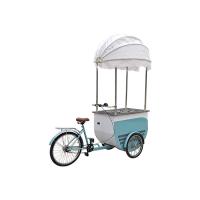 China Ice Cream Bike Freezer Mobile Food Bike for Shop Fried Chicken Hamburger Pizza BBQ for sale