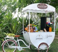 China 200*90*230cm Small Hot Dog Vending Carts Perfect for Selling Snacks at Beach Stands for sale