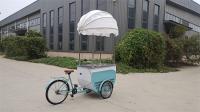 China Directly Supply Freezer Bike for Ice Cream Customized Color Mobile Food Trucks for sale
