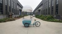 China Directly Supply Freezer Bike for Ice Cream Customized Color Mobile Food Trucks for sale