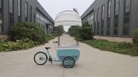 China Voltage 48V Bike Outdoor Food Cart Tricycle Mall Kiosk Mobile Electric Ice Cream Cart for sale