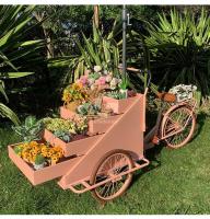 China Vegetable Processing Plant Mobile Coffee Bike Cart with L200.00cm*W95.00cm*H110.00cm for sale
