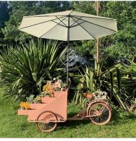 China Vegetable Processing Plant Mobile Coffee Bike Cart with L200.00cm*W95.00cm*H110.00cm for sale