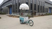 China Electric Tricycle 3 Wheel Mobile Cart for Ice Cream Coffee Pedal Freezer Bike Delivery for sale