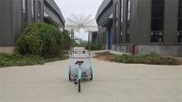 China Electric Tricycle 3 Wheel Mobile Cart for Ice Cream Coffee Pedal Freezer Bike Delivery for sale
